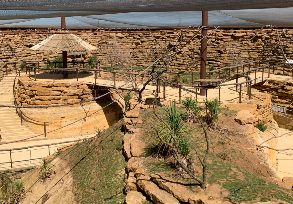 Nos espaces - Bioparc Zoo de Doué la Fontaine